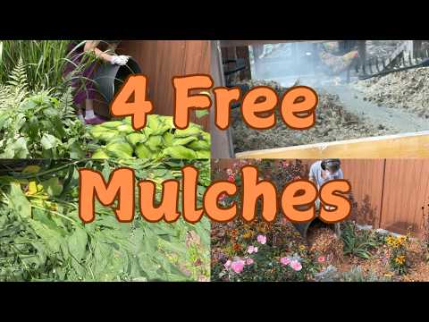 Best Free Mulch for Your Garden - Dining and Cooking