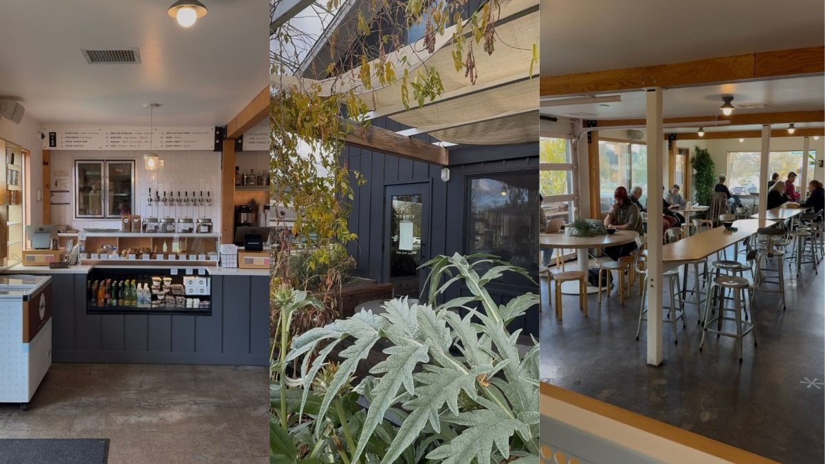 [OC] Cozy Corners and Caffeine Fixes: Discover Ashland’s Best Coffee ...