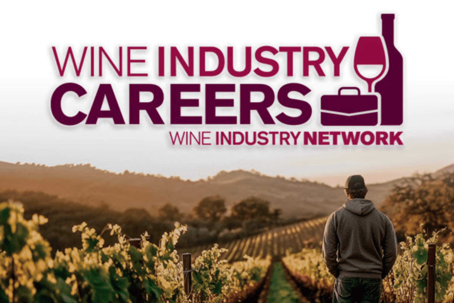 Wine Industry Network Unveils Wine Industry Careers, Connecting Talent ...