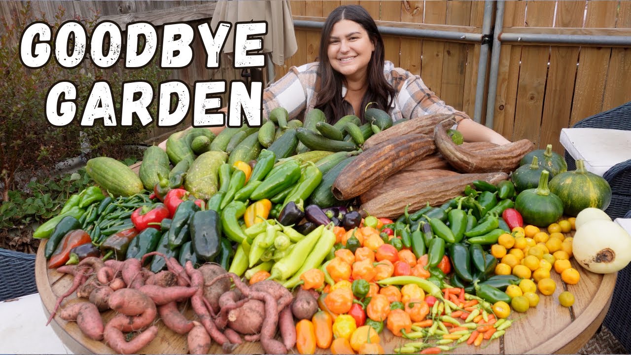 Goodbye 2024 | The Last Garden Harvest - Dining and Cooking