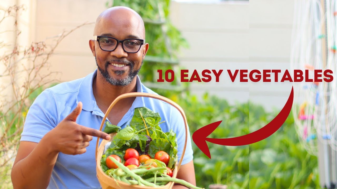 10 Super Easy Crops for Your First Vegetable Garden - Dining and Cooking