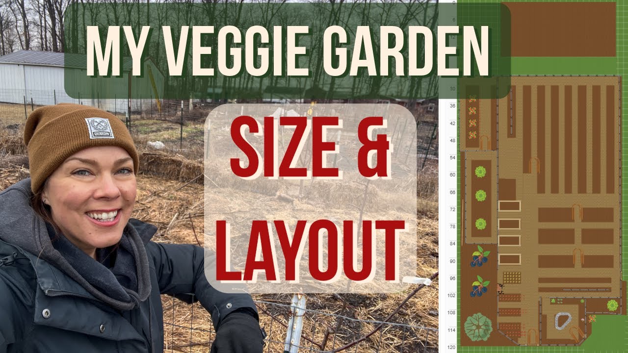 My Vegetable Garden Size and Layout: 2025 - Dining and Cooking