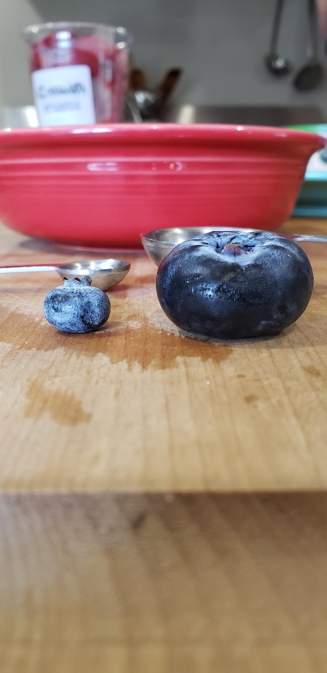 The Biggest Blueberry I Ve Ever Seen Produce Dining And Cooking