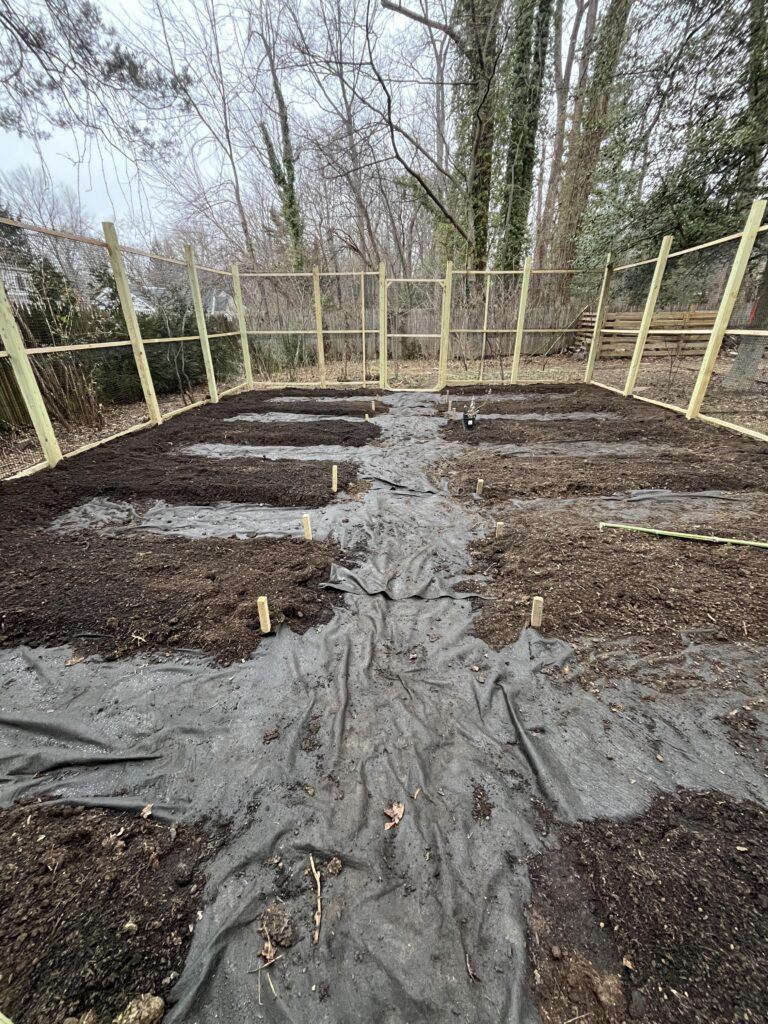 Large garden space is a blank slate. What should I do with the beds and ...