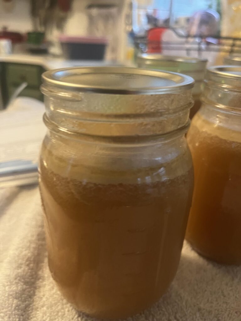 Fat in chicken stock - Dining and Cooking