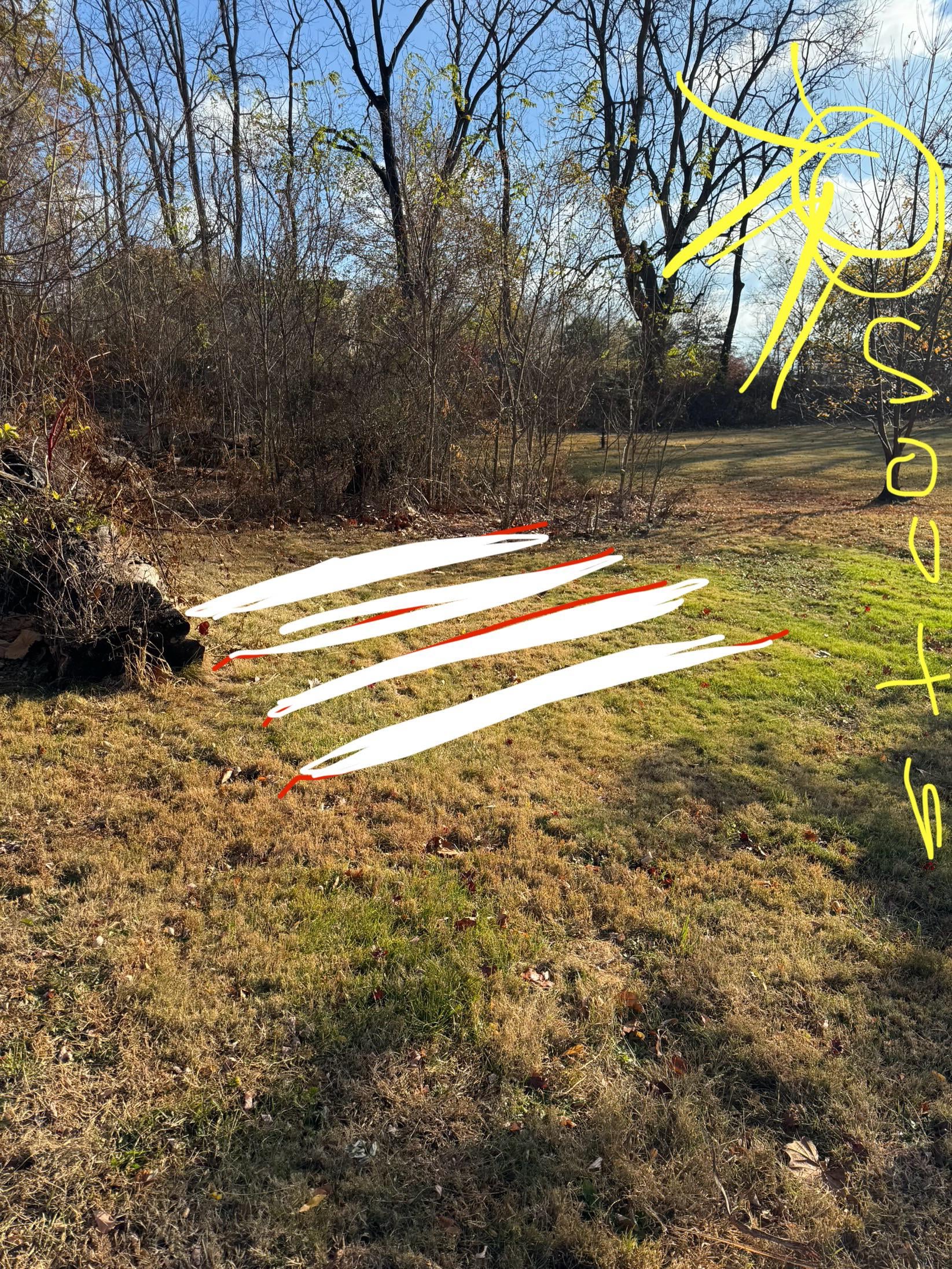 Changing my garden plan and returning 4 raised beds… - Dining and Cooking