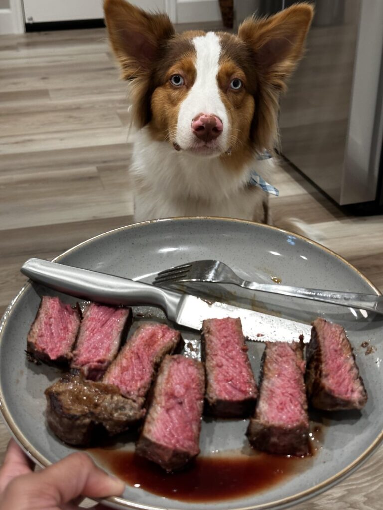 Dogs first steak - Dining and Cooking