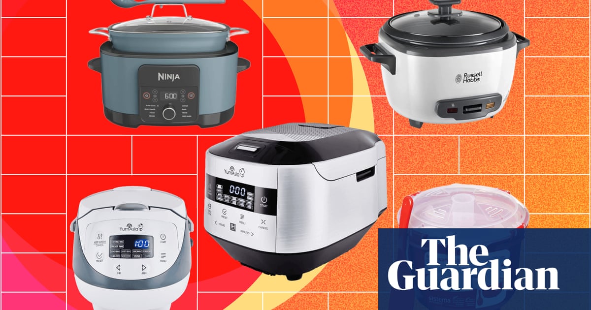 The best rice cookers for gloriously fluffy grains at home: nine tried ...