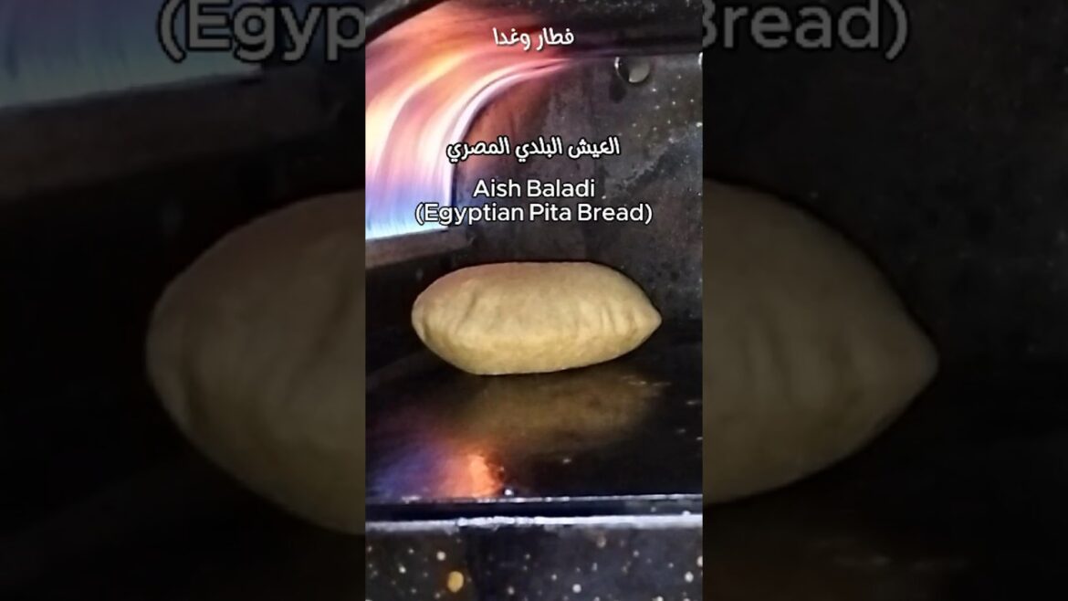 العيش البلدي المصري | Aish Baladi (Egyptian Pita Bread) - Dining and Cooking