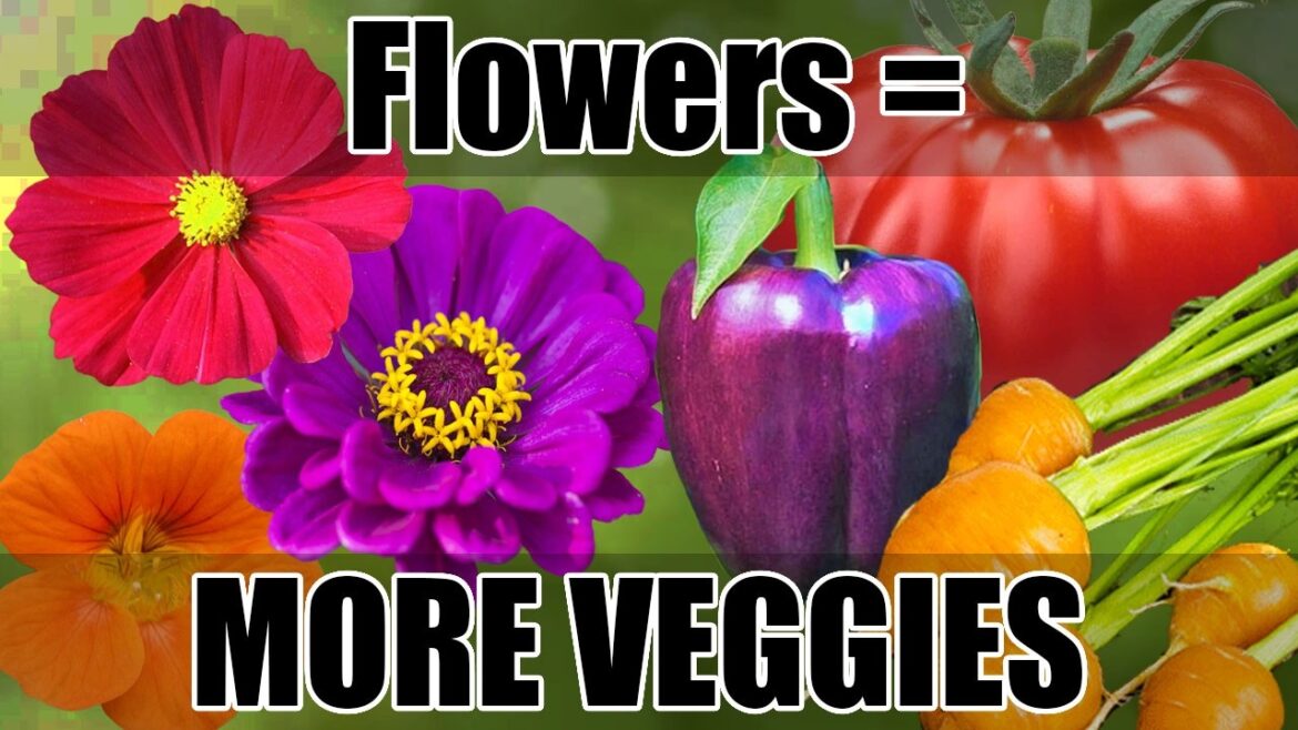 10 Flowers That Supercharge Your Vegetable Garden! - Dining and Cooking