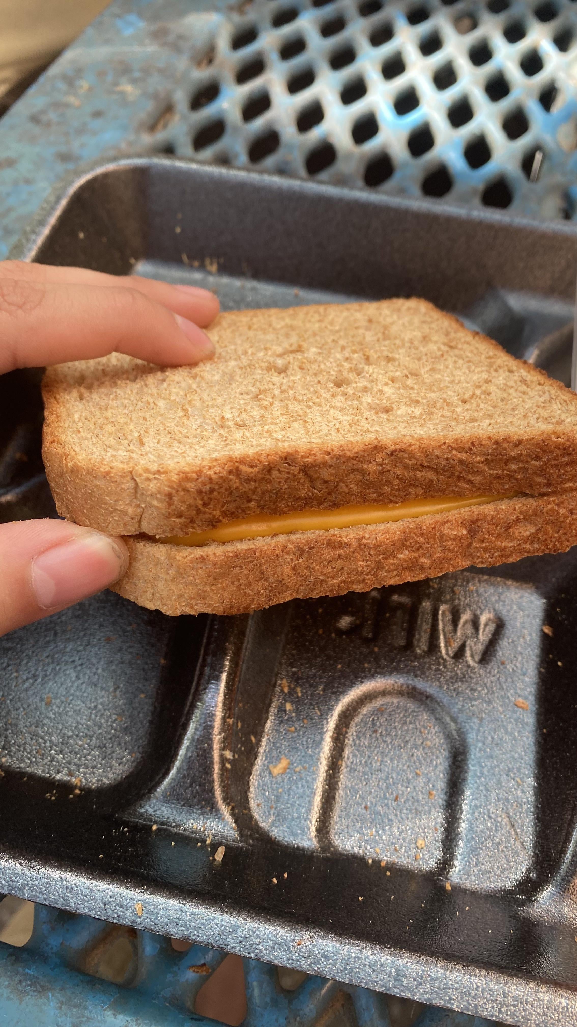 Sad excuse of a grill cheese sandwich - Dining and Cooking