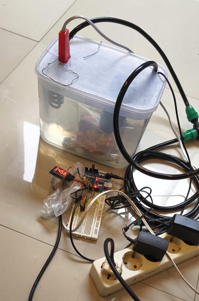 DIY first try Sous Vide - Dining and Cooking