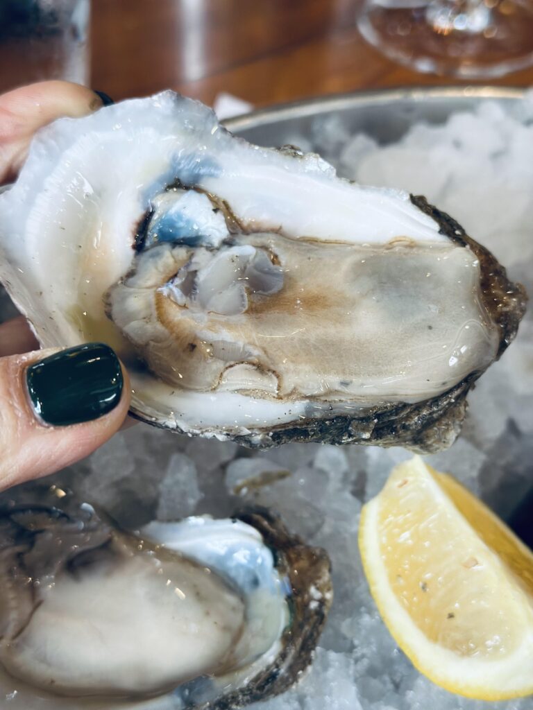 Fresh, plump oysters for dinner. - Dining and Cooking