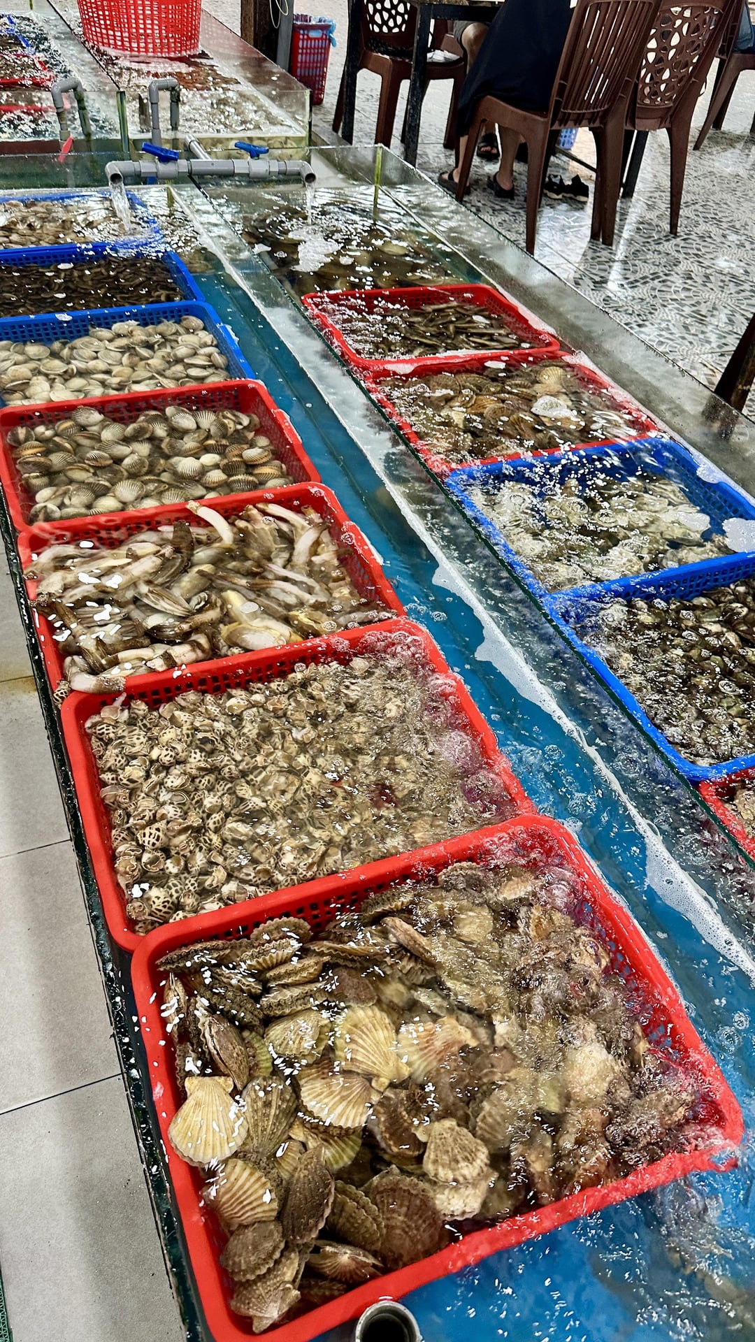 Tanks on tanks - Dining and Cooking