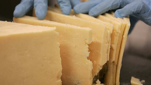 Grate U.K. cheese heist of 2024 sees con artists make off with $540K in ...
