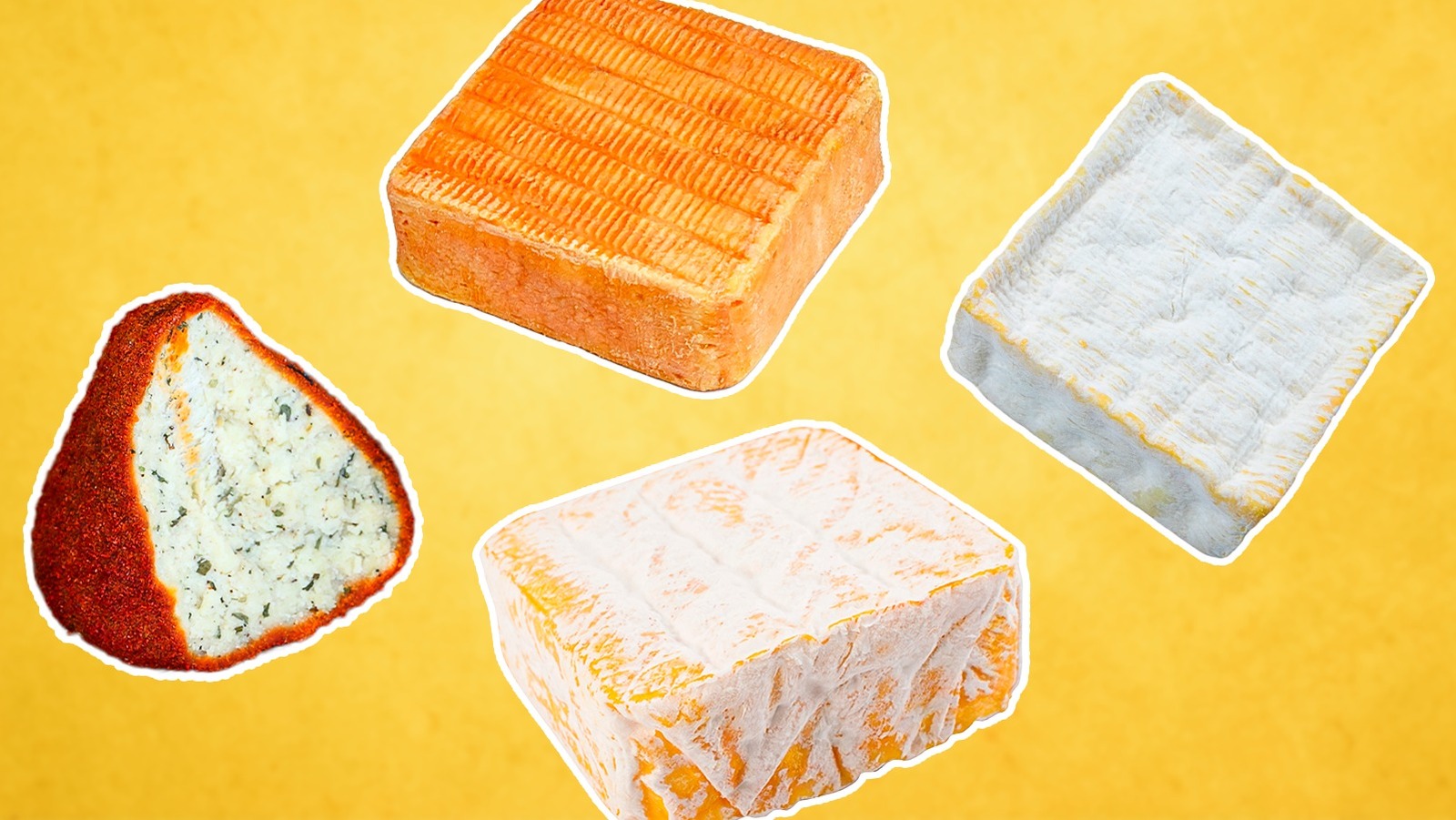 12 Of The Most Pungent Cheeses In The World - Dining and Cooking