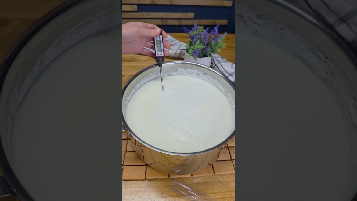 Extra Thick & Creamy Homemade Greek Yogurt! (It's Easier Than You Think ...
