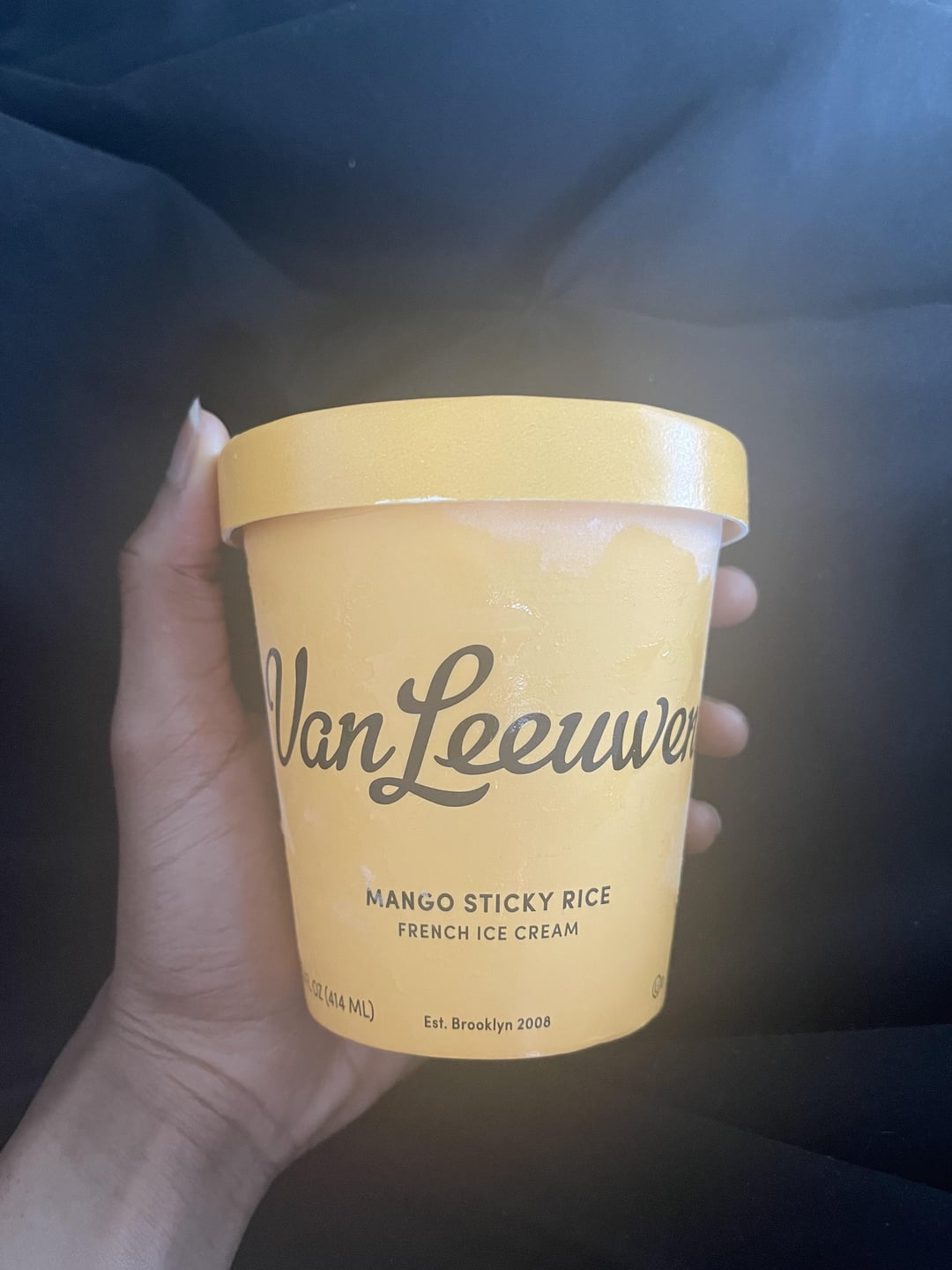 Van Leeuwen mango sticky rice - Dining and Cooking
