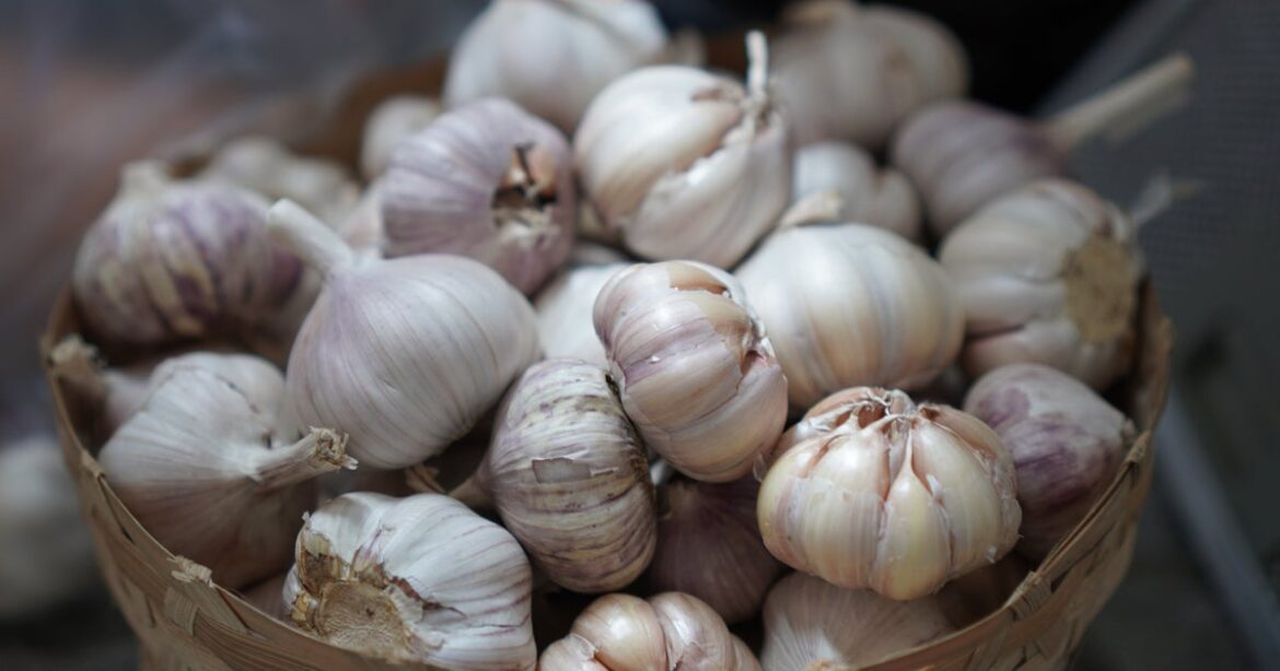 Here's How Much Garlic Italians Actually Use - Dining and Cooking