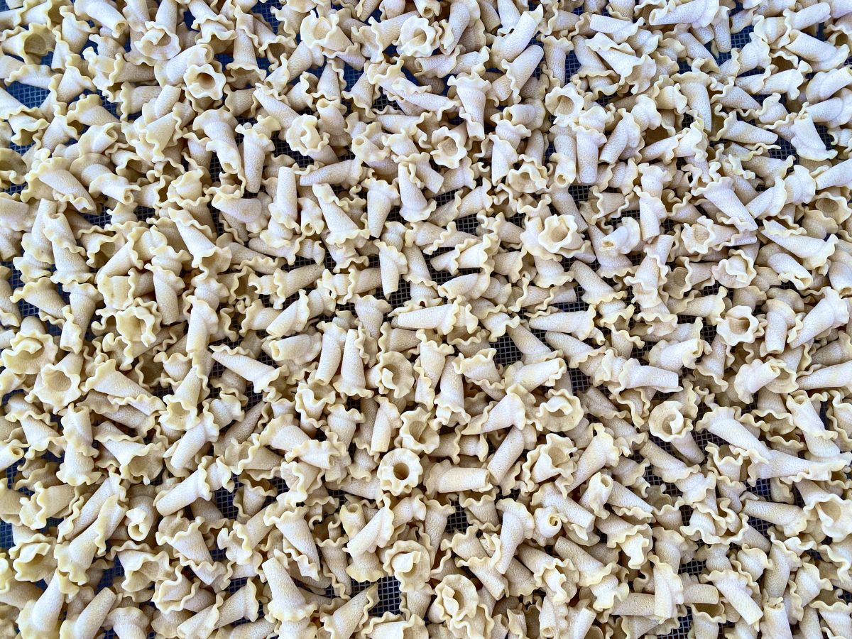 Rare Australian native ingredient makes chef's pasta a palate pleaser ...