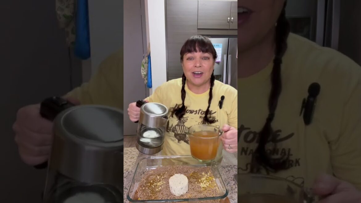 Quick and Lazy Shrimp Orzo Recipe That Will Make Your Sunday Perfect! - Dining and Cooking