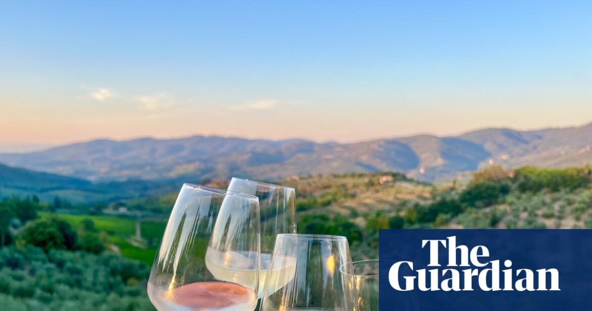 The best no- and low-alcohol wines for when you’re off the booze (yes ...