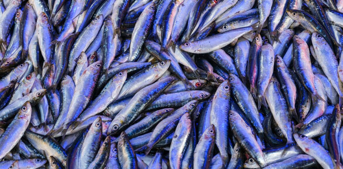 why ancient Romans loved fermented fish sauces like garum - Dining and ...