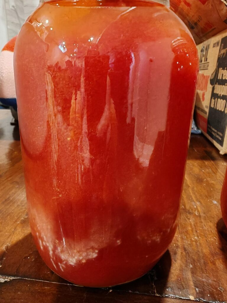 What is this...sediment? - Dining and Cooking