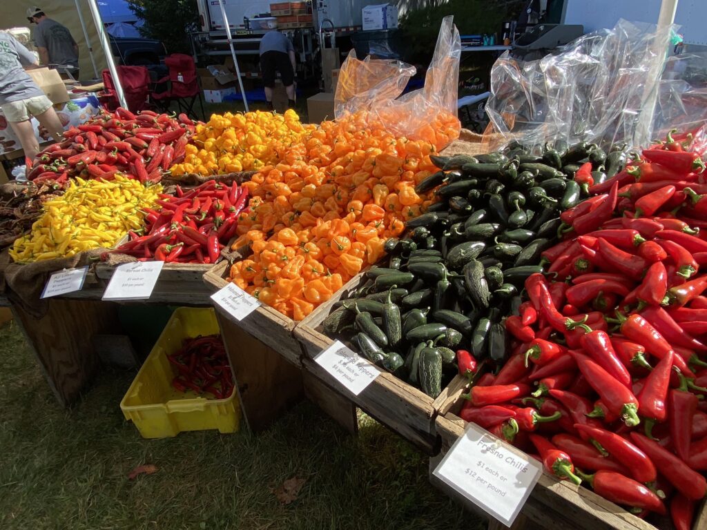 Hot pepper display at my regional fair - Dining and Cooking