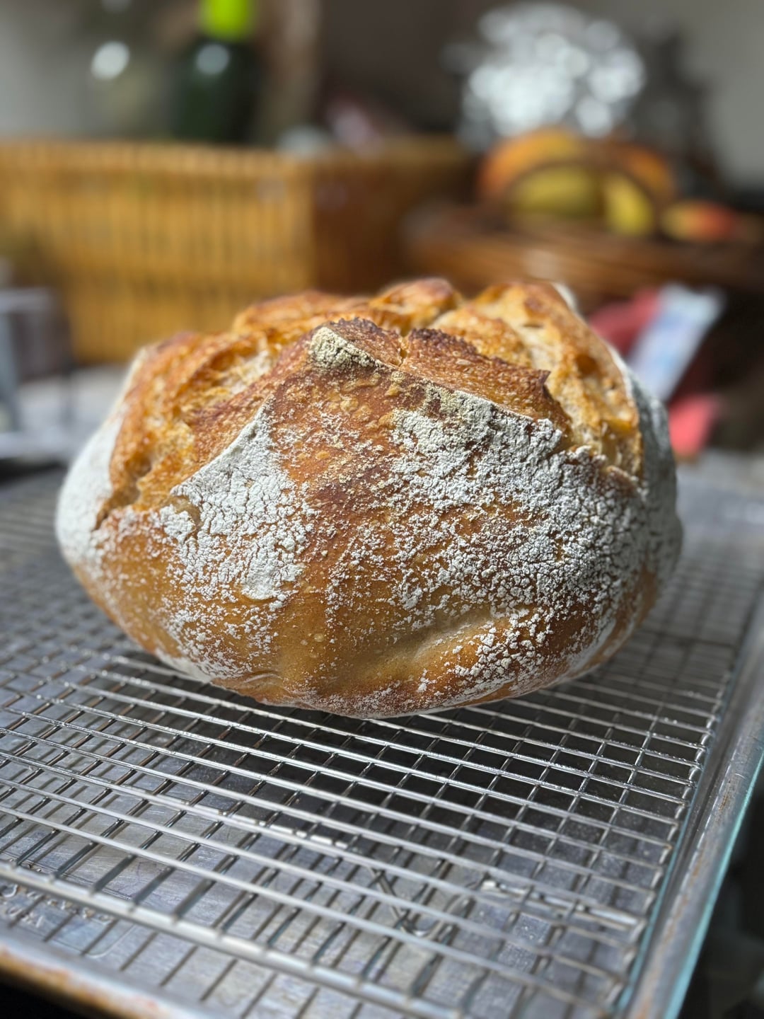 Aldi bread dome yielded better results than my dutch oven! - Dining and ...