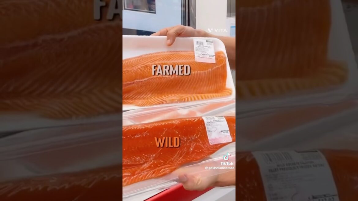 Wild vs Farmed #food #fish #seafood #cooking #salmon #wildsalmon # ...