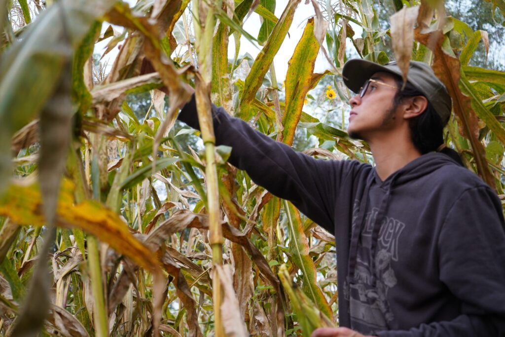 ICT NEWSCAST: Chefs, food sovereignty and more - Dining and Cooking