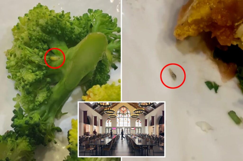 USC students report worms and bugs in food at student dining halls ...