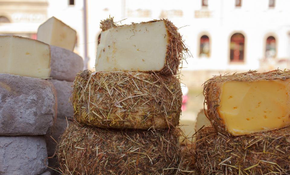 Slow Food Presents The 15th Edition Of Cheese, Bra Piedmont - Events In ...