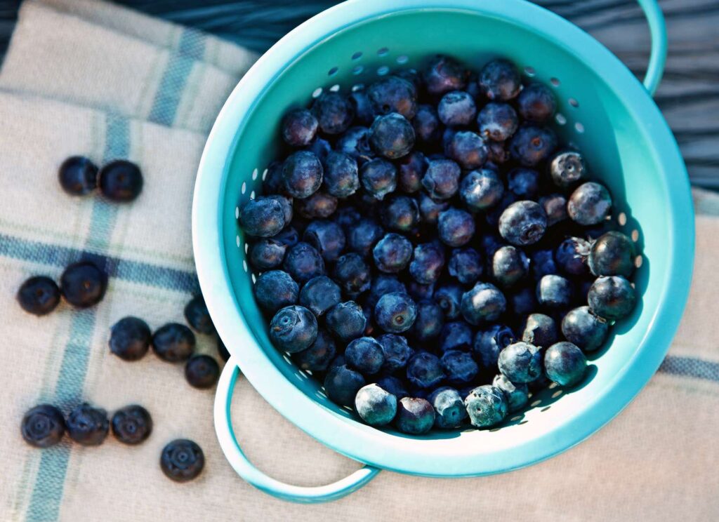 How to Clean Blueberries With Baking Soda or Vinegar - Dining and Cooking