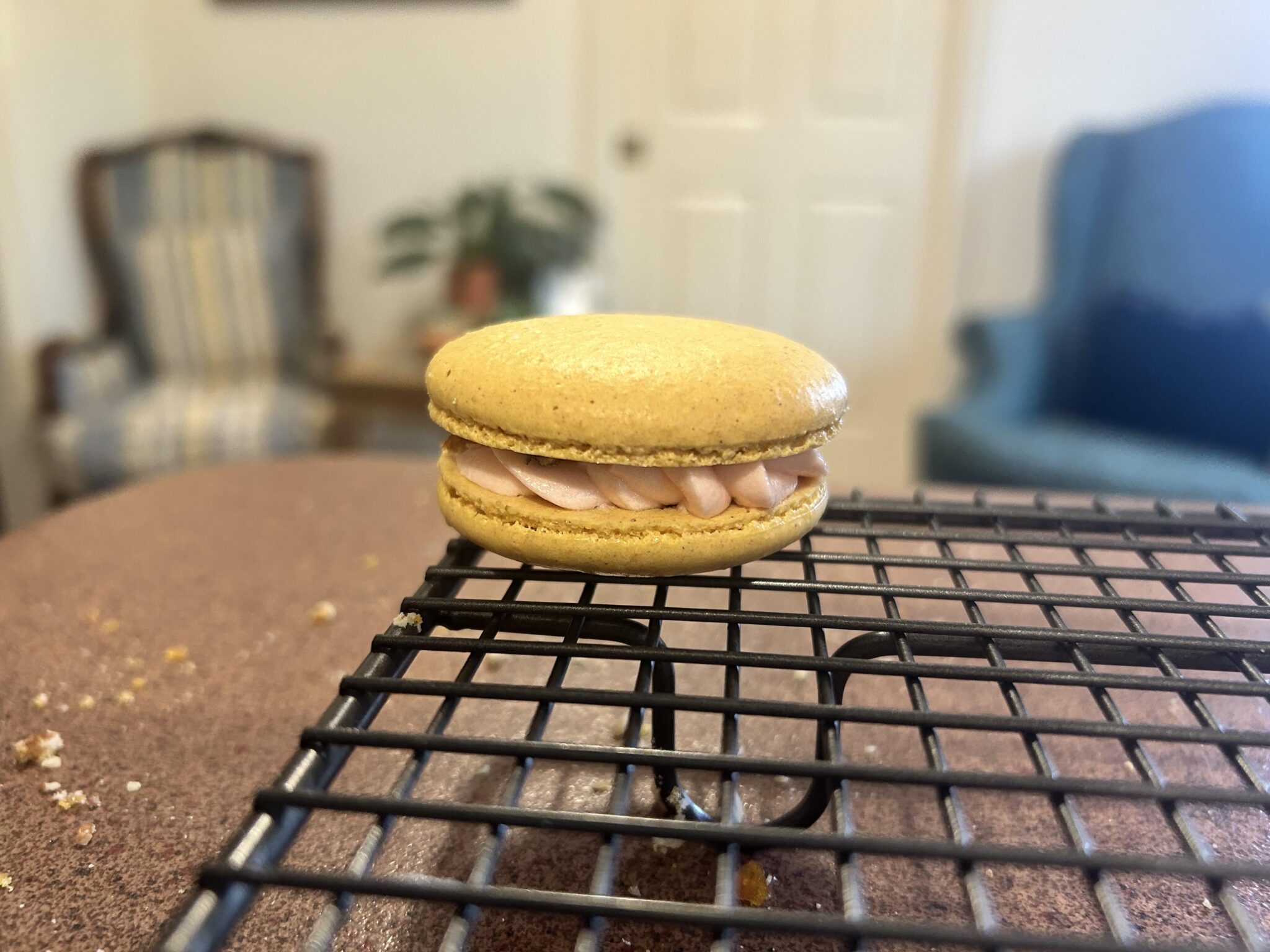 Spekuloos shells, cinnamon scroll baileys buttercream, and salted ...