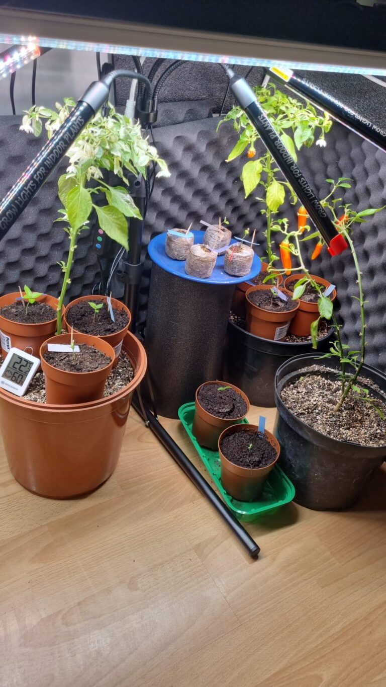 Indoor Grow 2026: I discovered my passion and things escalated quickly ...