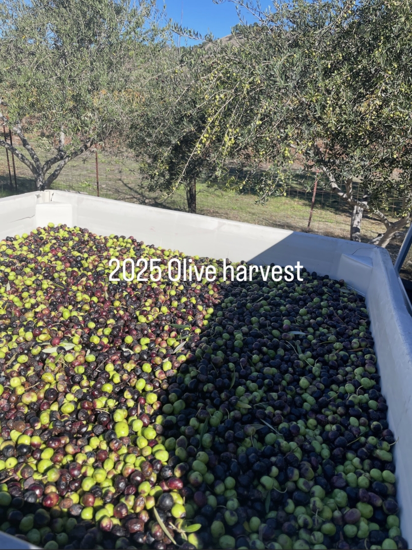 Principals Robert White and Celeste White Announce 2025 Harvest Release ...
