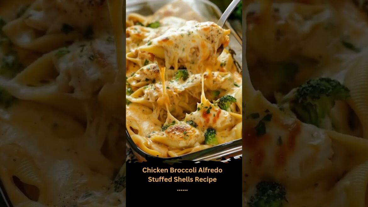 Chicken Broccoli Alfredo Stuffed Shells - Dining and Cooking
