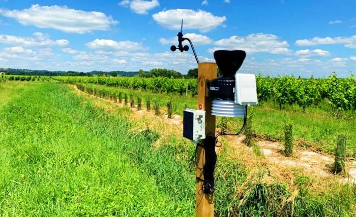French and Italian Vineyards Harness AI and IoT to Combat Climate Risks ...