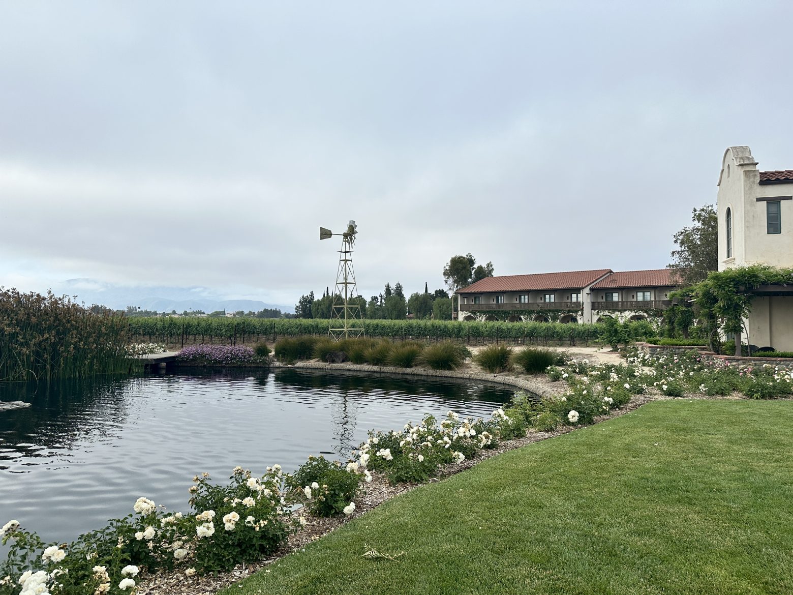 Temecula Valley’s Hidden Gem: A Luxury Vineyard Escape Without the ...