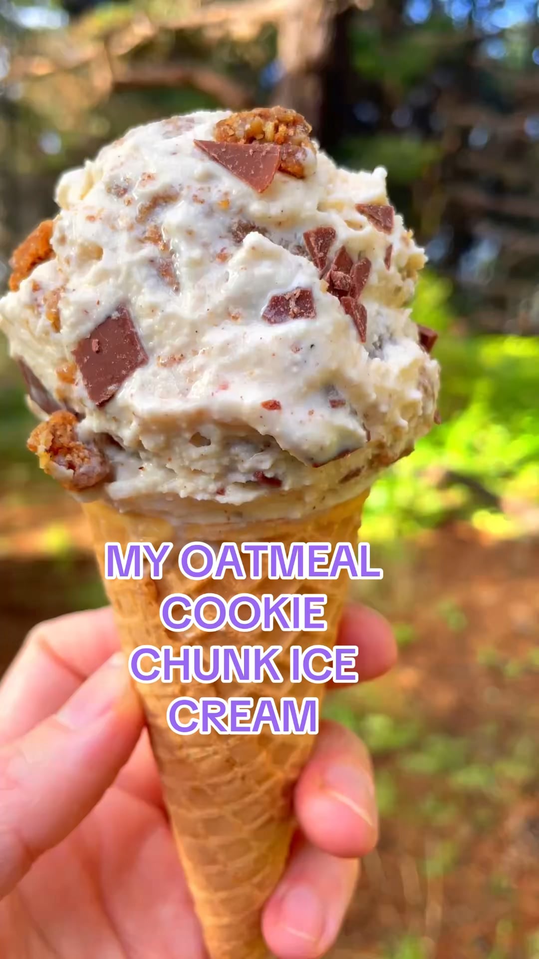 My Oatmeal Cookie Chunk ice cream - Dining and Cooking