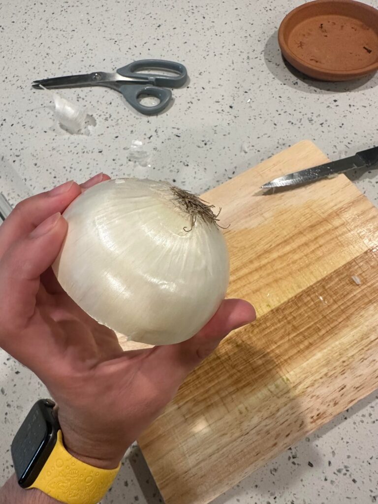 Why does my white onion look like this inside? I just bought it today ...