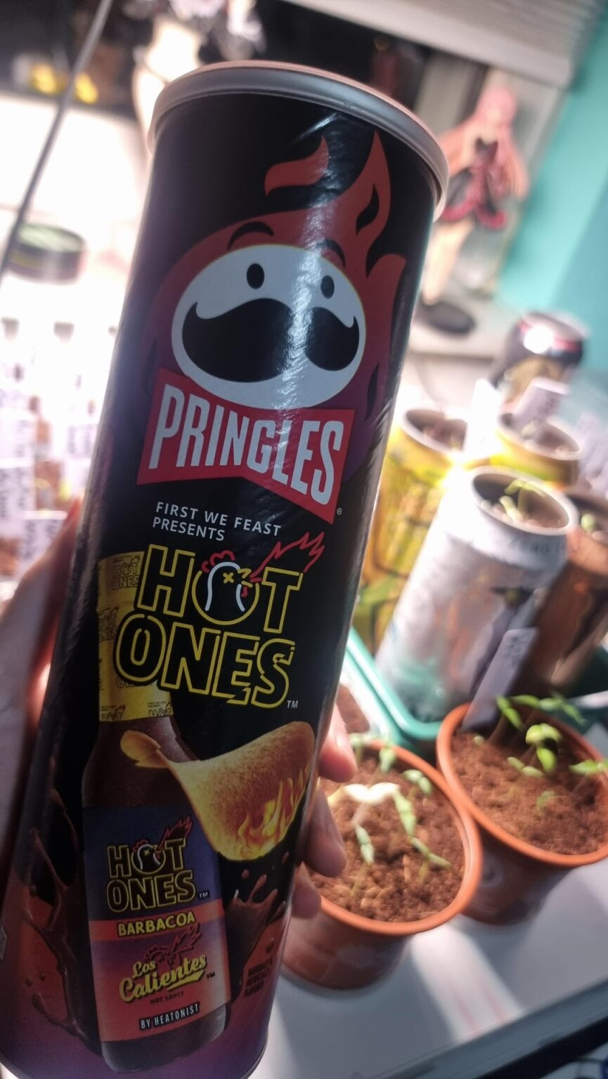 HOT ONES Pringles Barbacoa 🔥 - Dining and Cooking