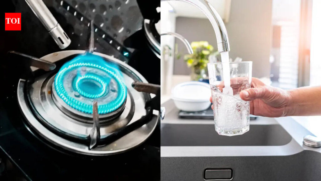 Hydrogen Cooking Stove: This Made-in-India gas stove is priced at Rs 1 ...