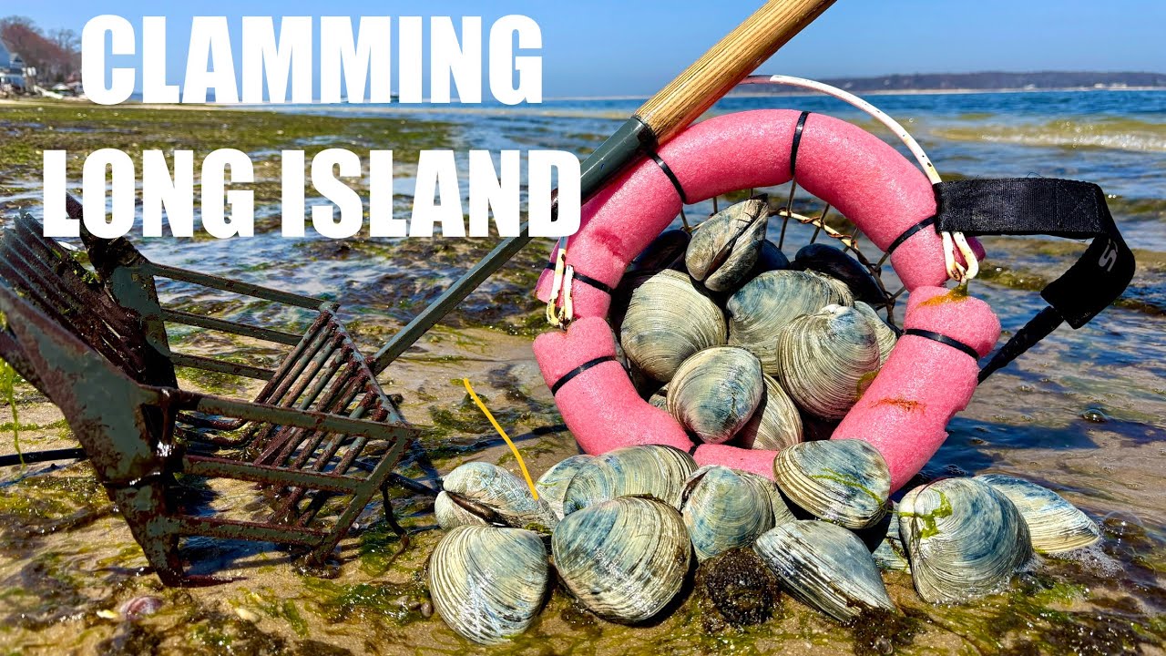 Best Clam Chowder Recipe | Vesta Precision V553 chamber vacuum sealer ...