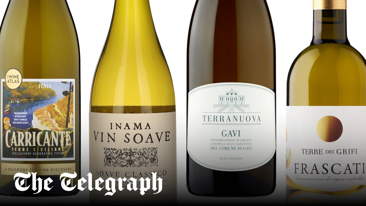 The best Italian wines to buy now - Dining and Cooking